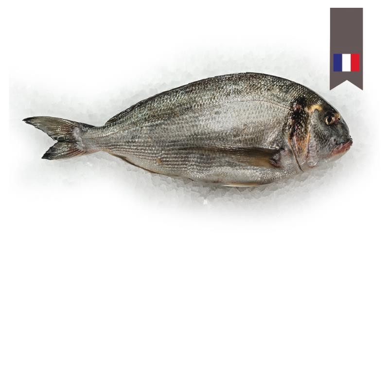 Dorade royale declasse 500G + LE KG - ELEVAGE FRANCE