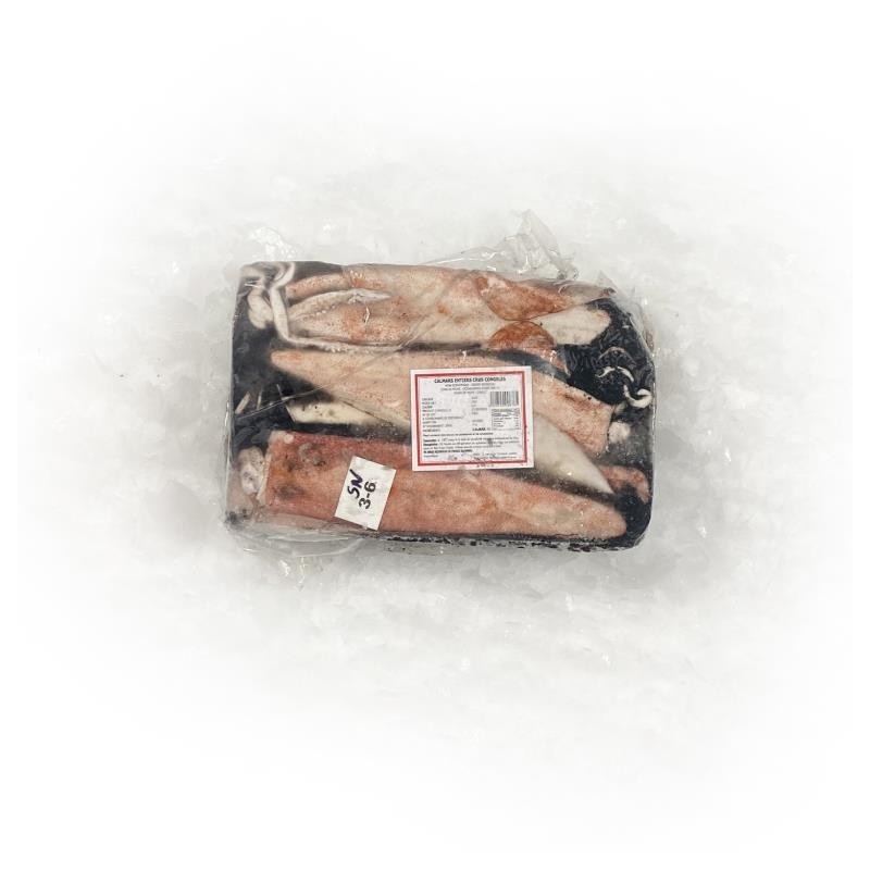 Calamar Patagonie nettoyé 9/13 Le sachet - SURG