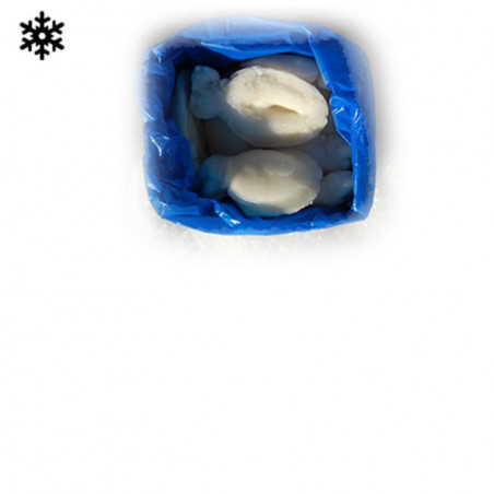 Seiche entière nettoyée 500/1000 - SURG