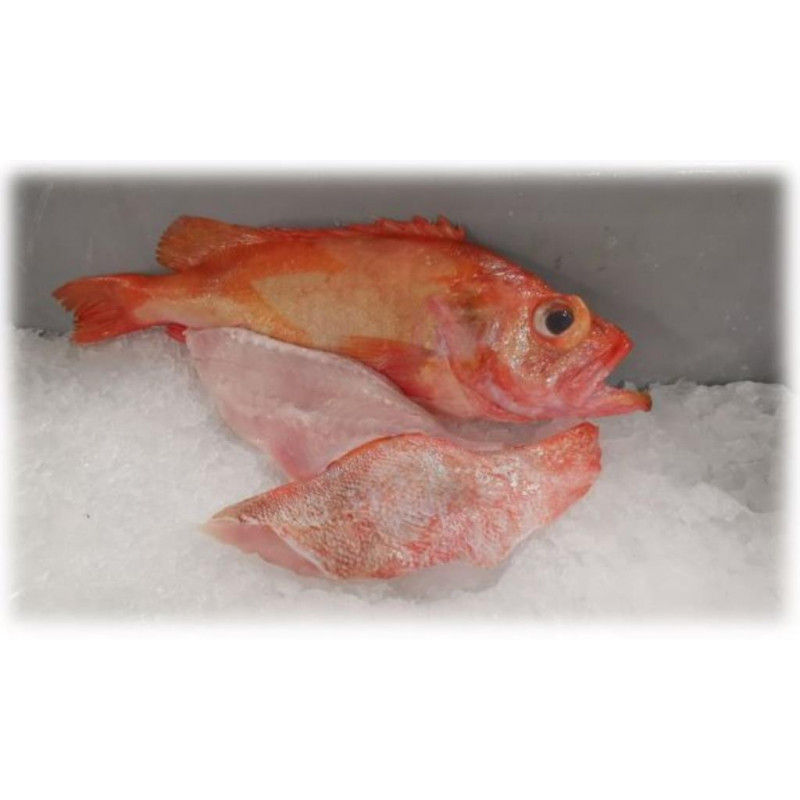 Dorade sebaste 700G+ en filet brut - ANE